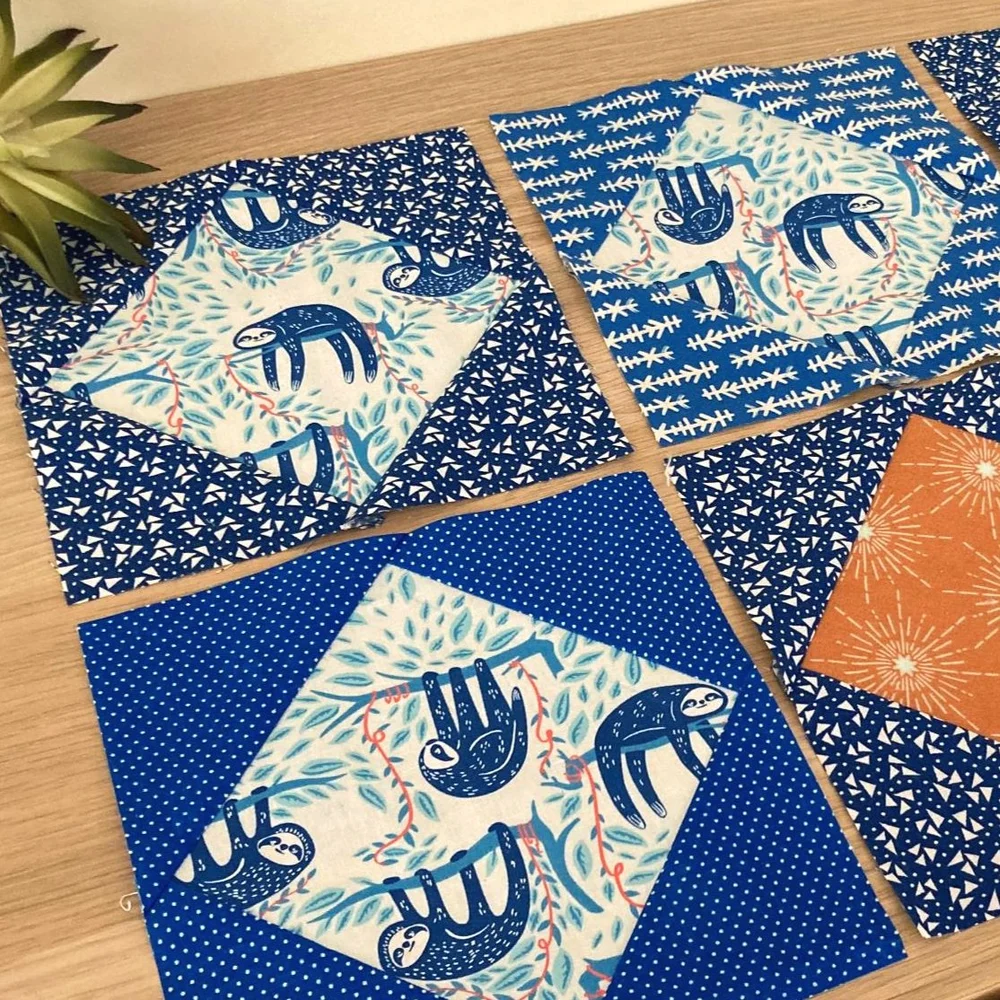 Cosmic Cactus QUILT ALONG — Lou Lou & Betty