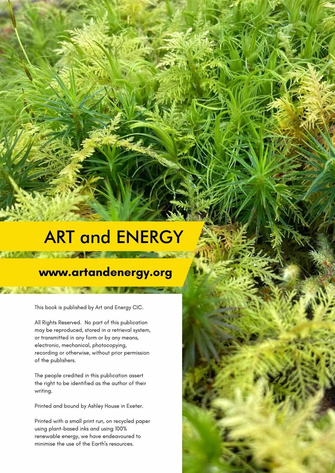 Be More Moss - A Mossellany of Questions for Life — The Art and Energy ...