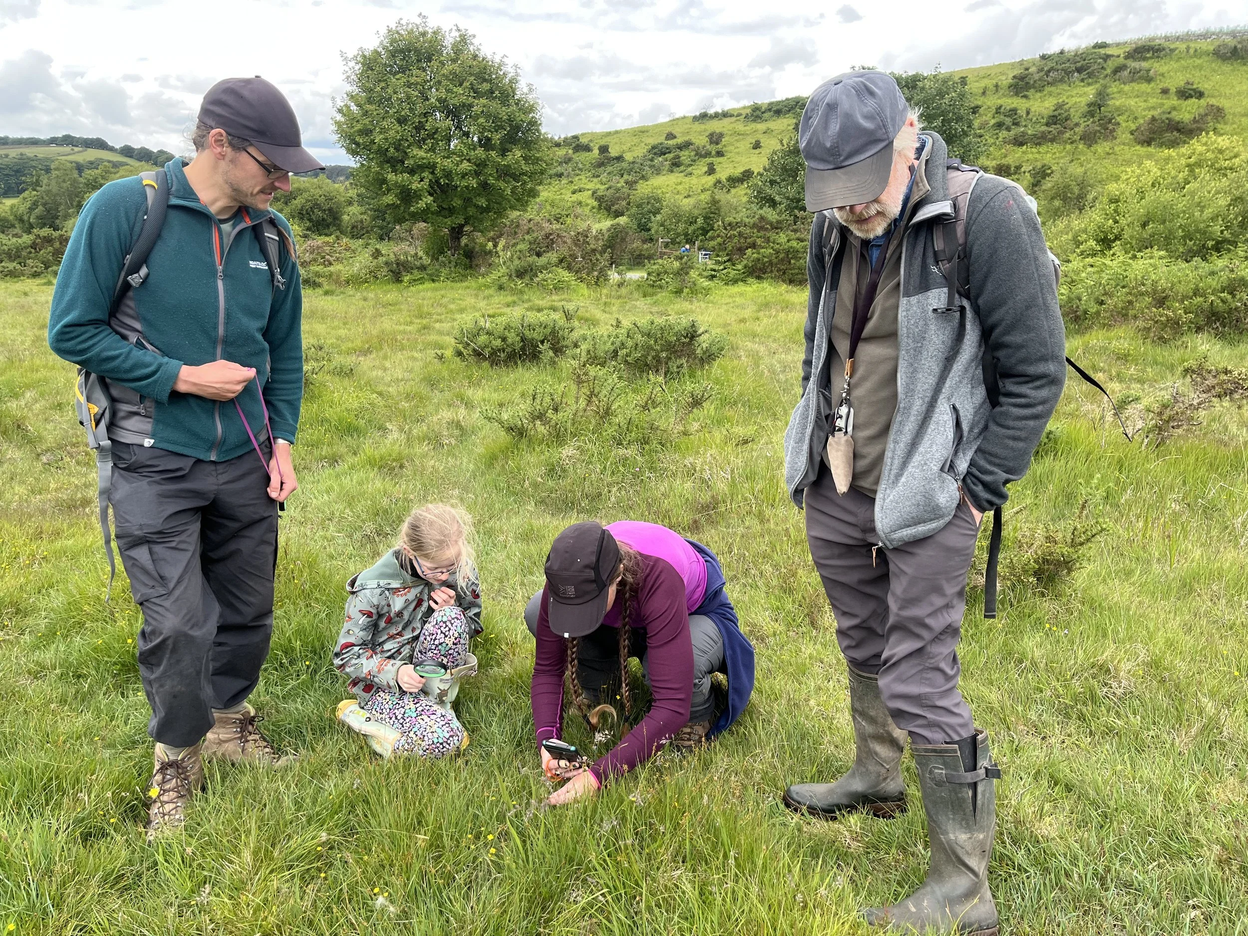 Mosses (and wildlife) galore in the sunshine at Challacombe Farm — The ...