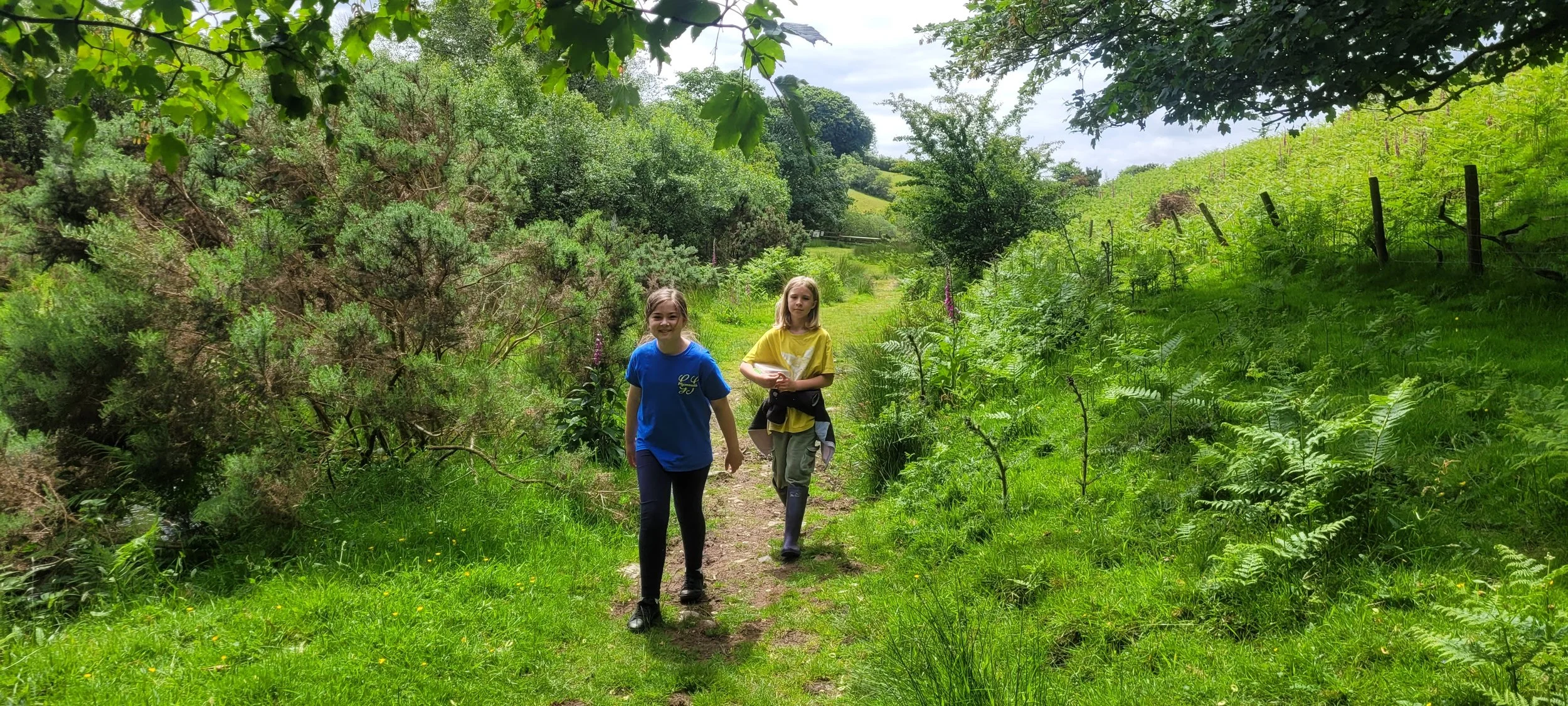 Mosses (and wildlife) galore in the sunshine at Challacombe Farm — The ...