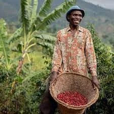 Our Coffee — Season Coffee, Bar & Kitchen