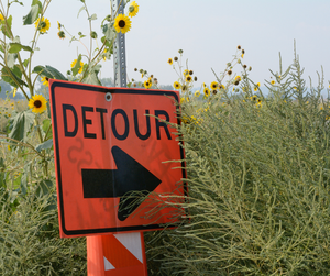 When Life Takes a Detour, How Do You Adjust Your Financial Plans? — The ...