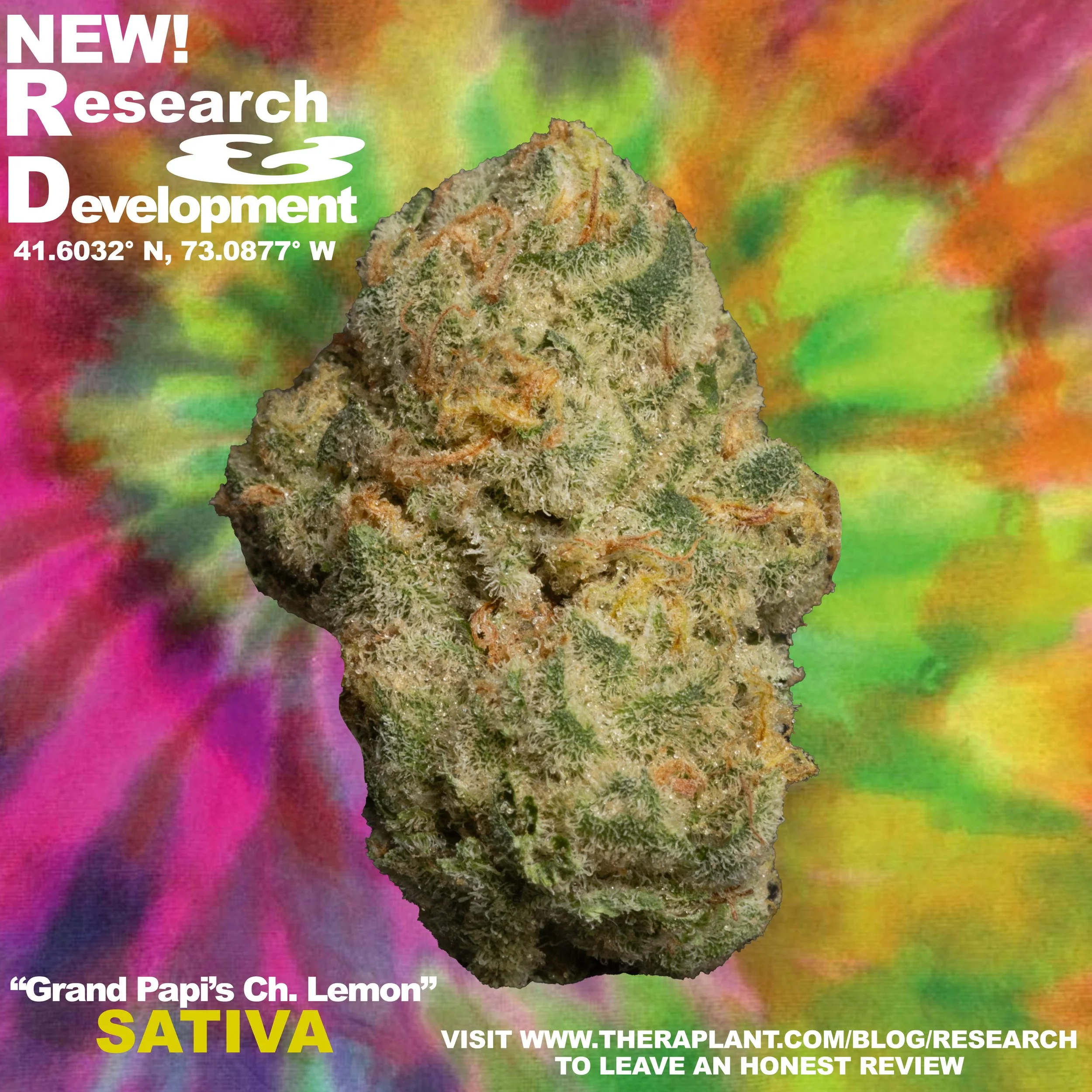 Grand Papi's Ch. Lemon T25.57 21877 — THERAPLANT