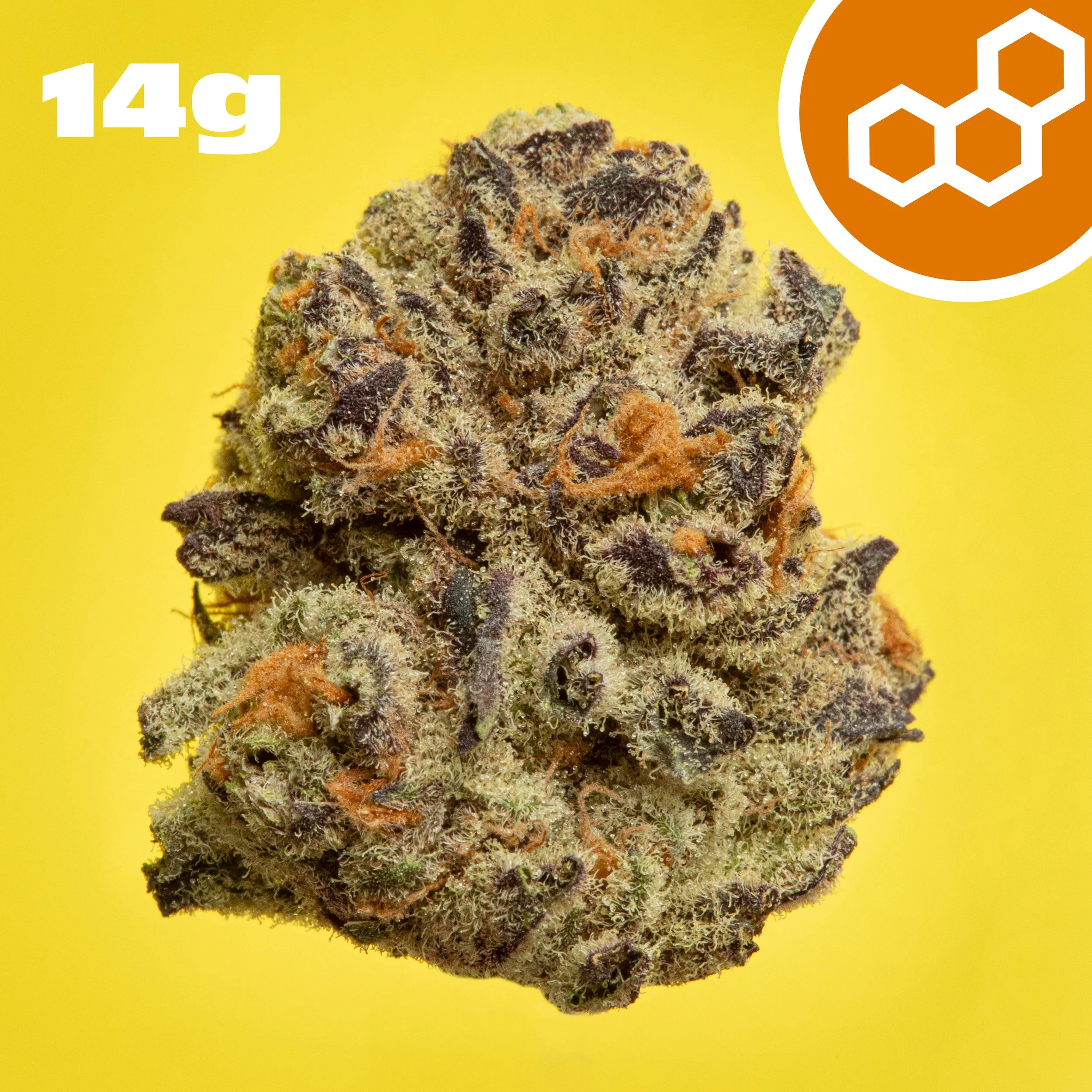 Panckes 14g 41523 — THERAPLANT