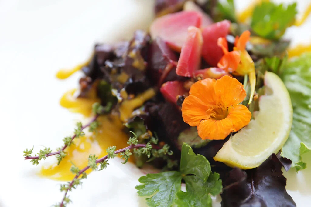 Gallery — Roghani's Restaurant