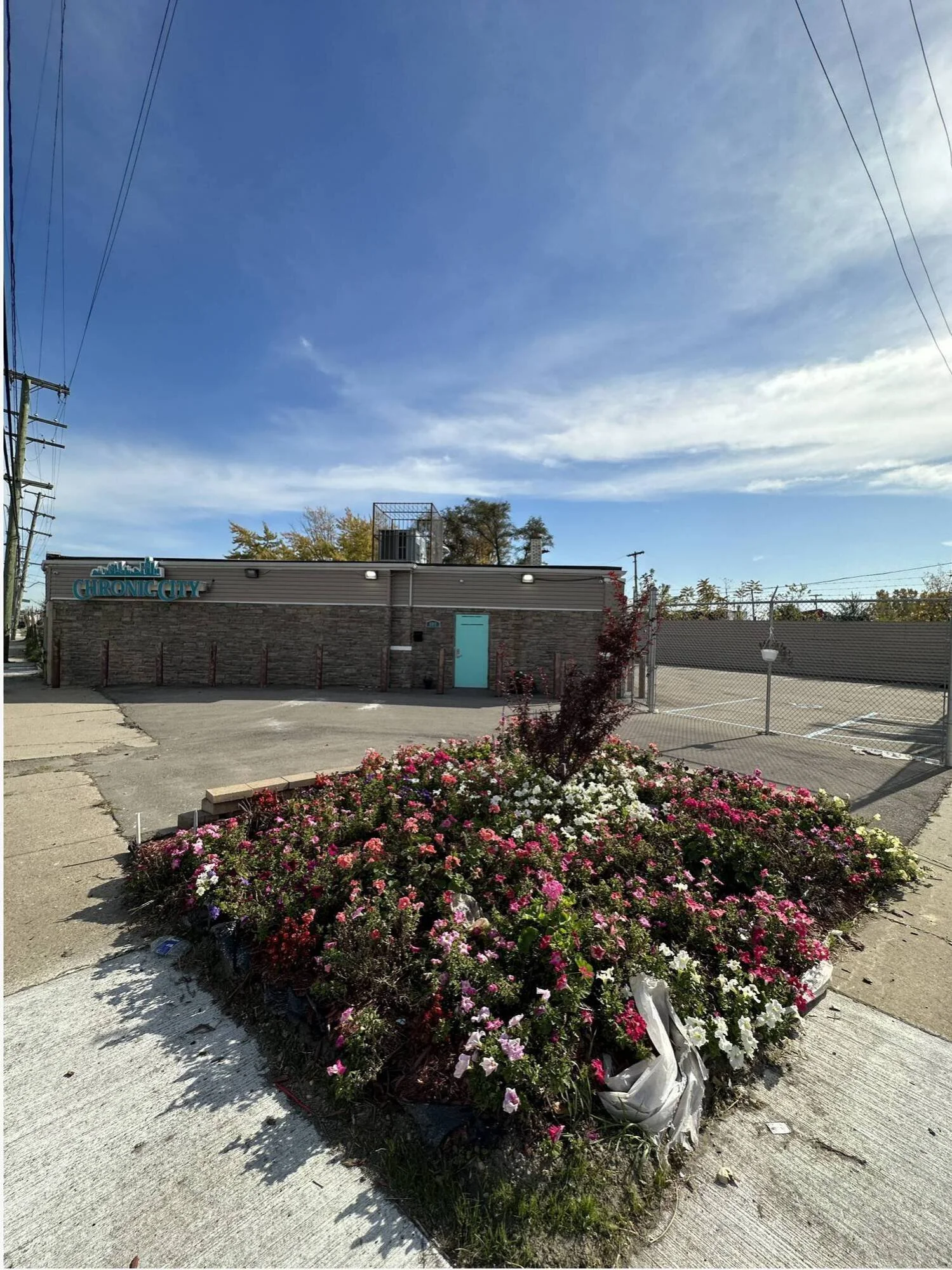 Buy — Michigan Cannabis Properties