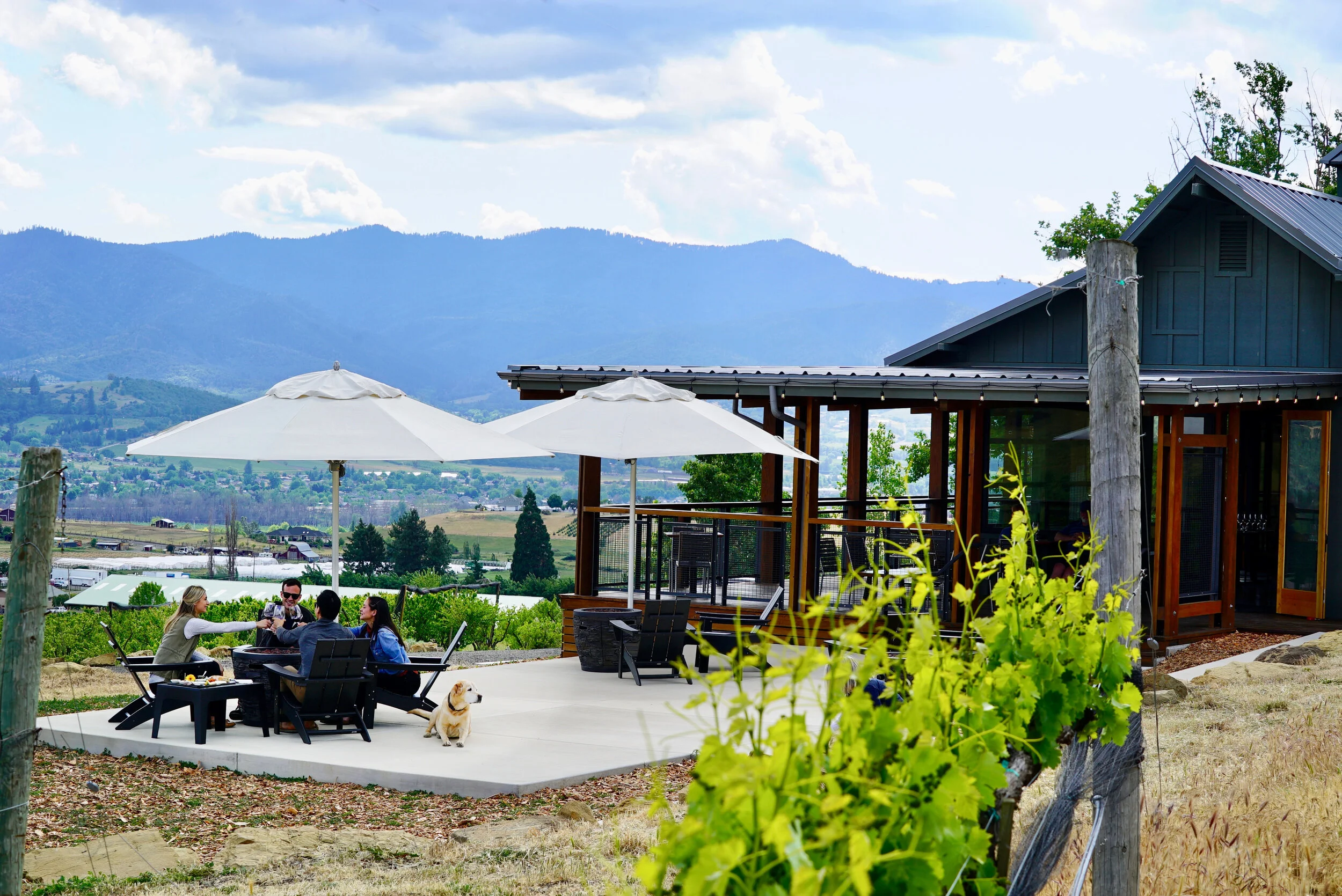 Long Walk Vineyard | Visit our Tasting Room - Ashland, Oregon — Long ...