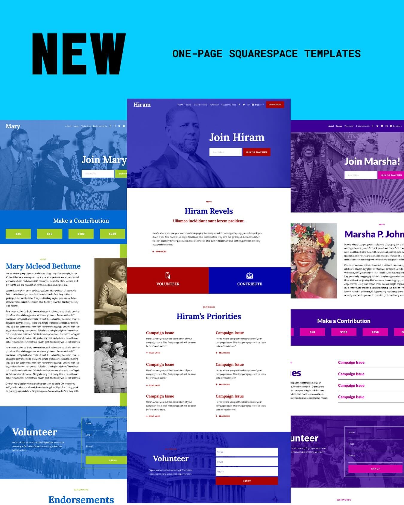 ️ Political Campaign Websites for Democrats