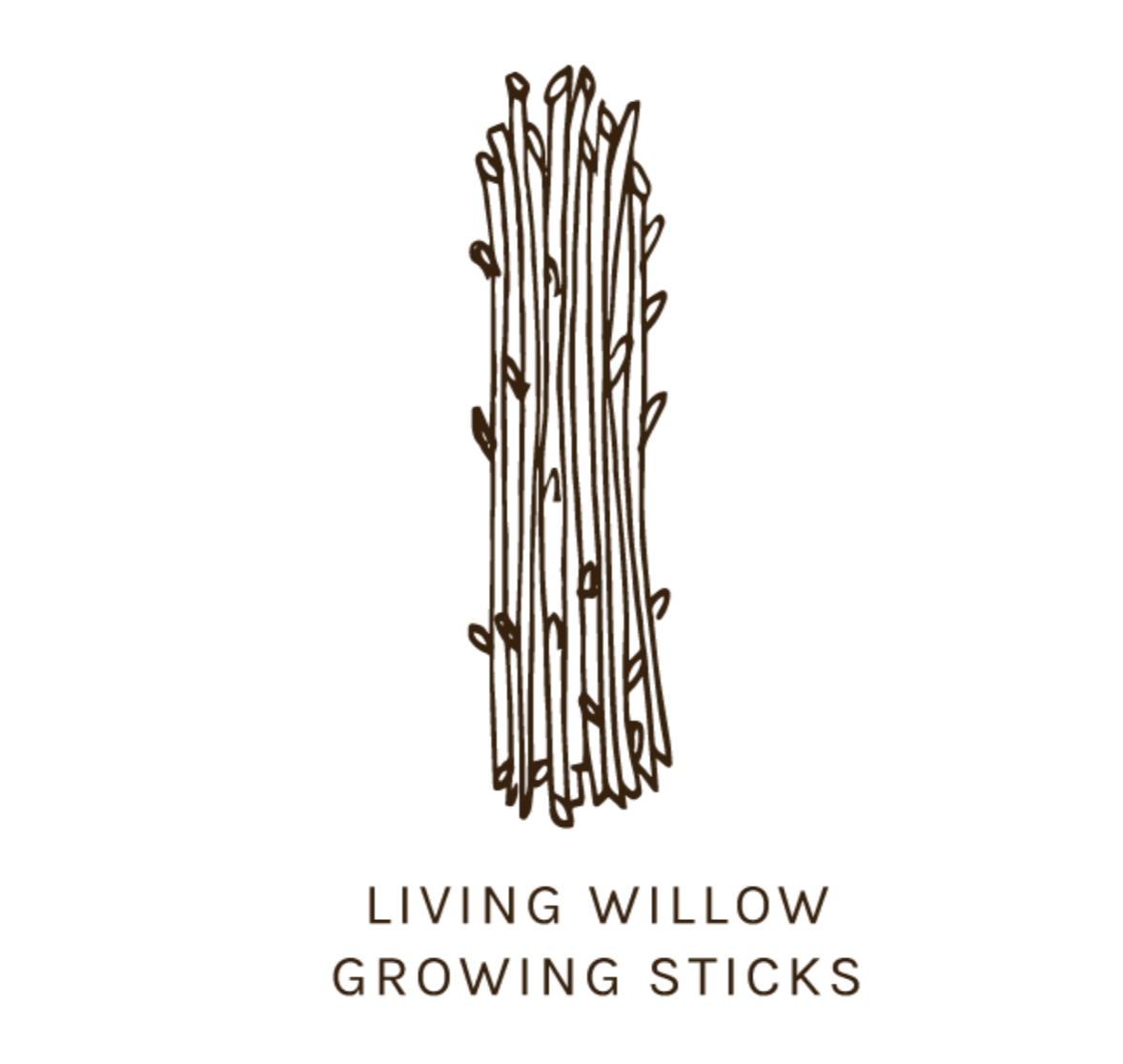 Live Willow Cuttings — LIVING WILLOW FARM