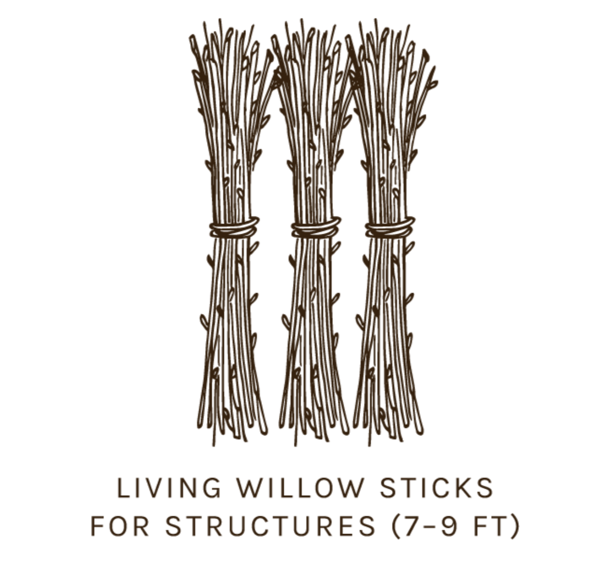 Live Willow Cuttings — LIVING WILLOW FARM