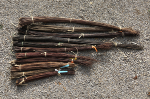 Dried Willow Branches Small | Craft With Willow — LIVING WILLOW FARM