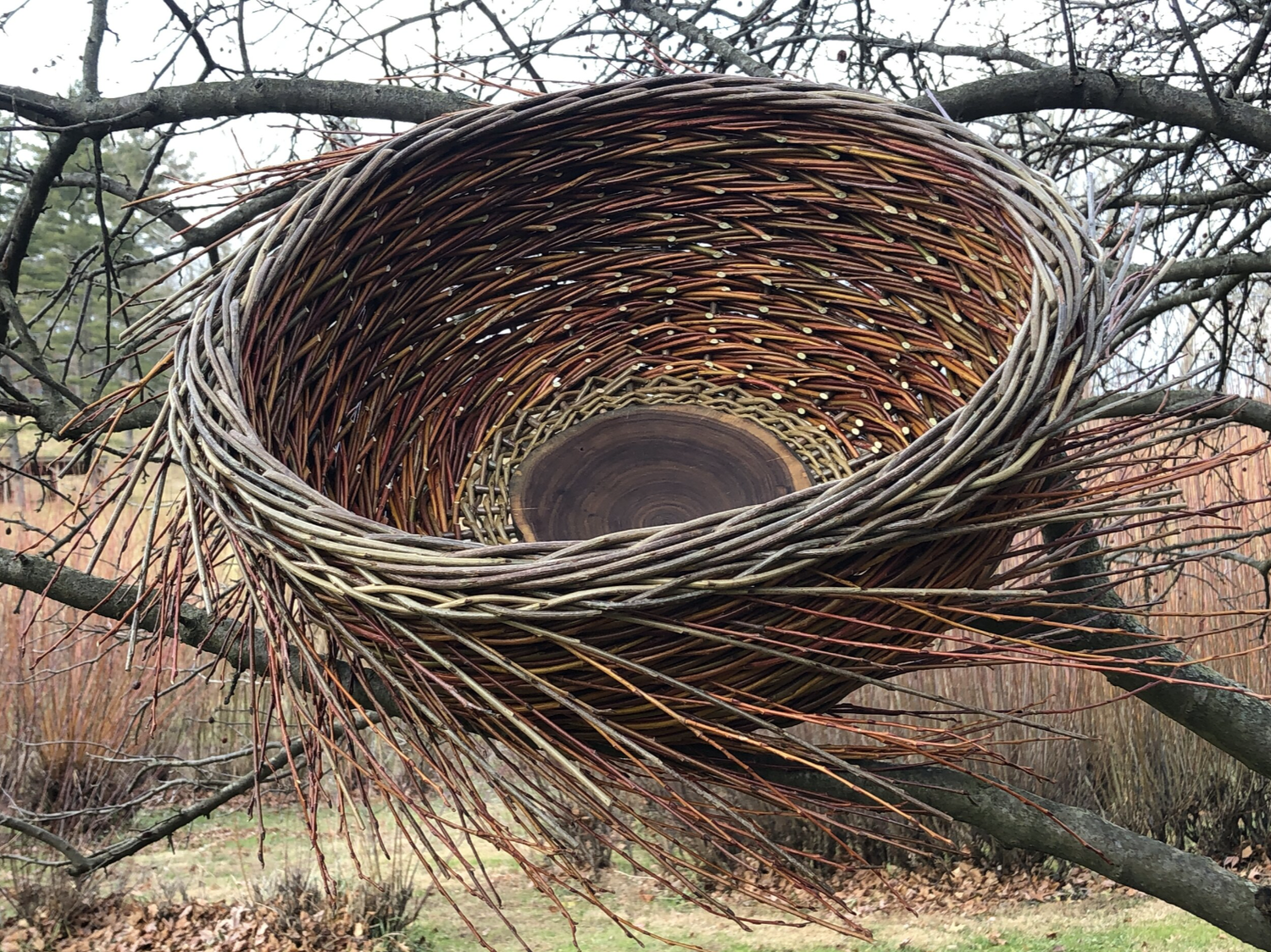 Dried Willow Branches Small | Craft With Willow — LIVING WILLOW FARM