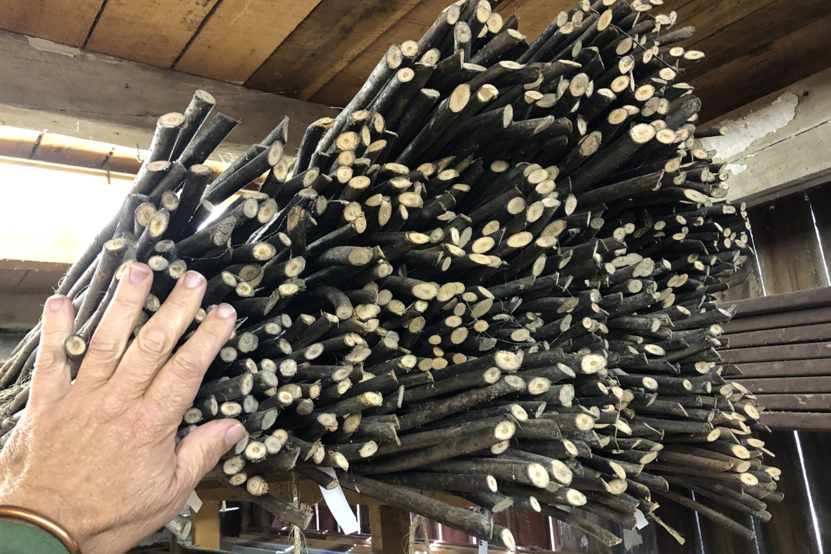Large Dried Willow Branches For Sale | Craft With Willow — LIVING ...