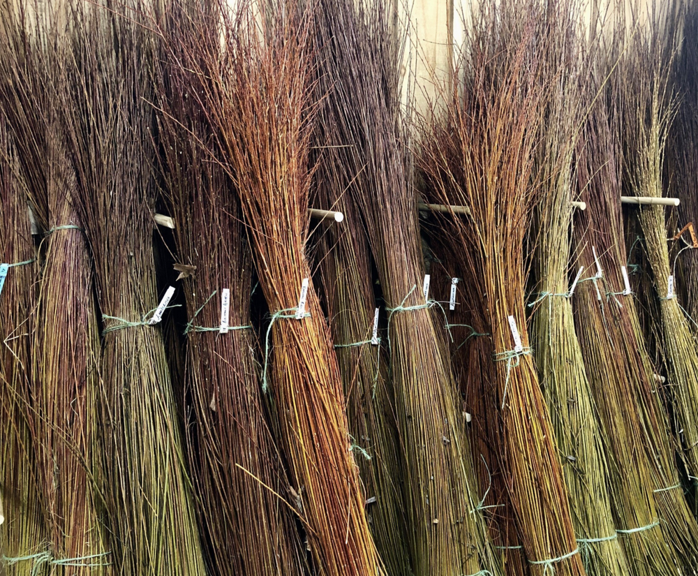Large Willow Cuttings For Sale | Grow Your Own Living Willow Structures ...