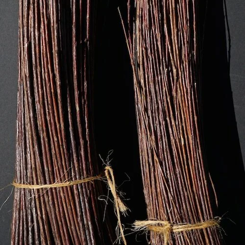 Willow Species | Types of Willow — LIVING WILLOW FARM