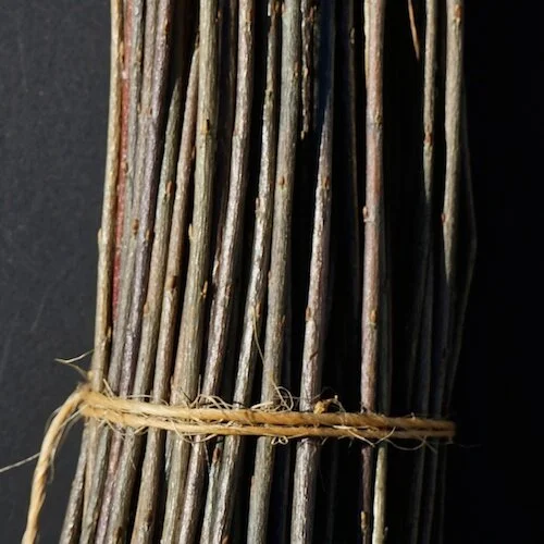 Willow Species | Types of Willow — LIVING WILLOW FARM