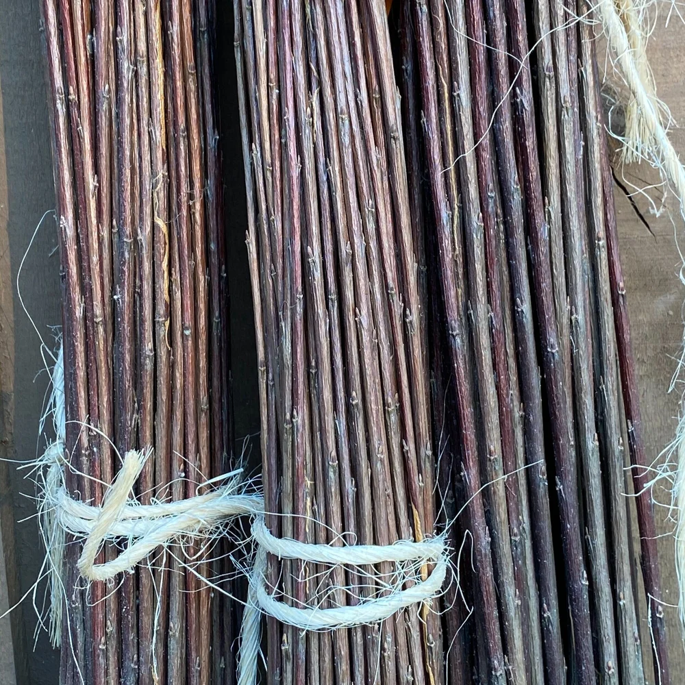 Willow Species | Types of Willow — LIVING WILLOW FARM