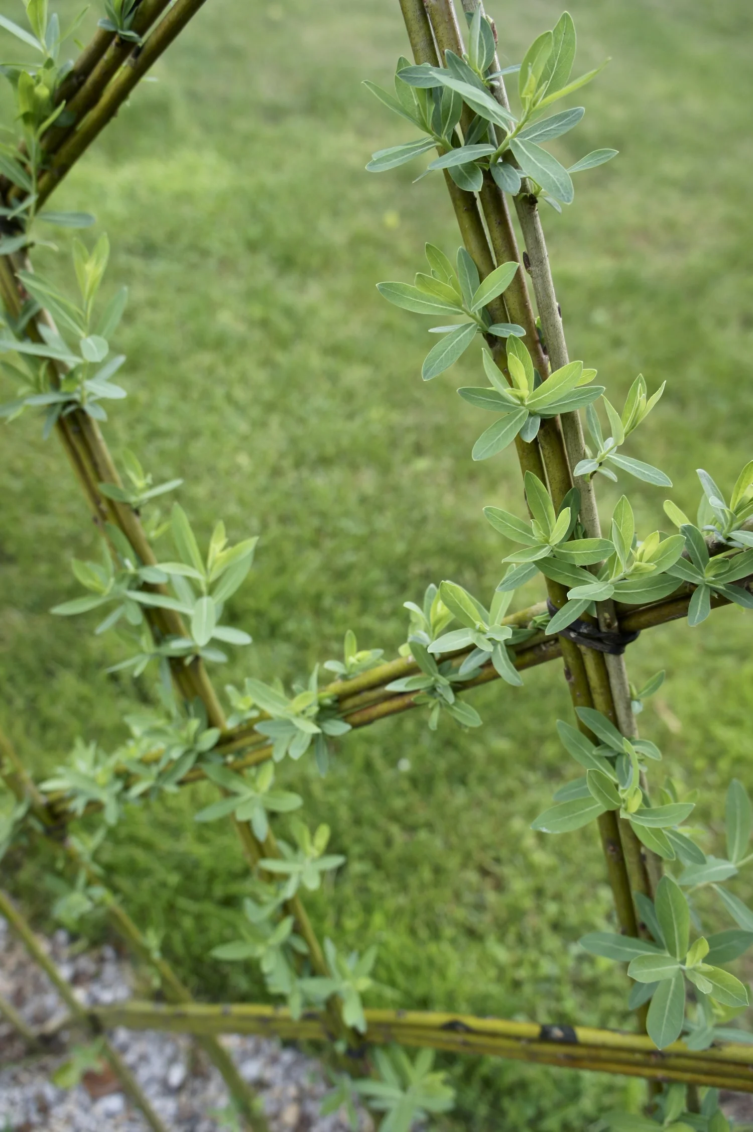 LIVING WILLOW FARM | Create with Willow Today