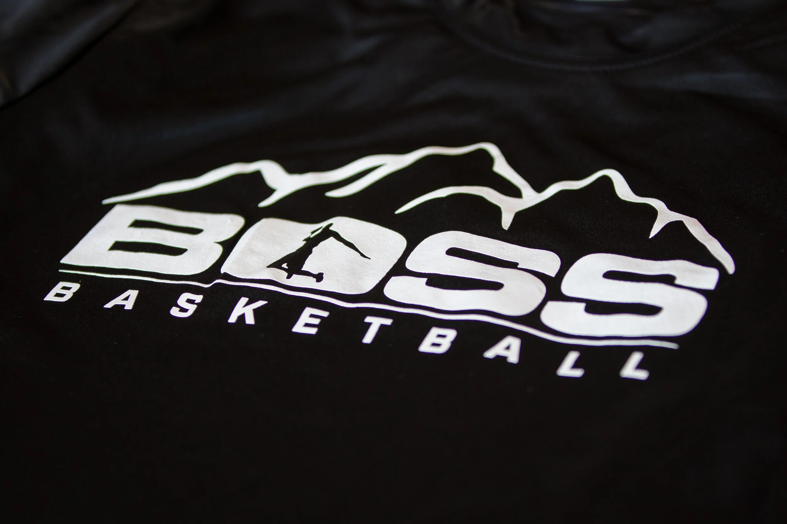 CLINICS BOSS Basketball Performance clinics-boss-basketball-performance