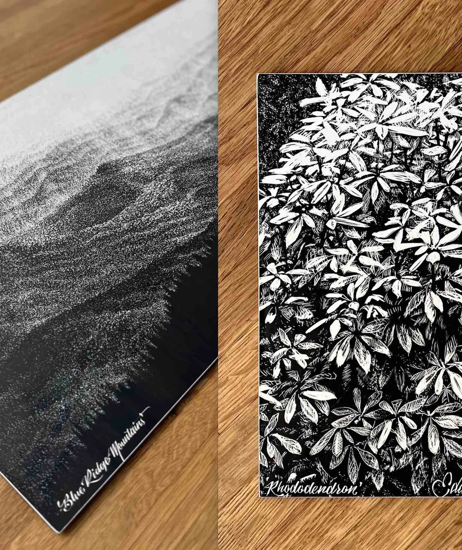 etching — Gallery — Windthrow