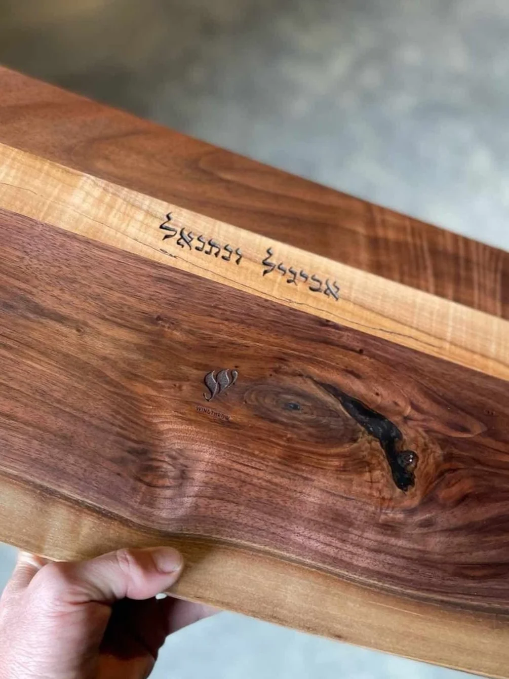 Calligraphy in Wood — Windthrow
