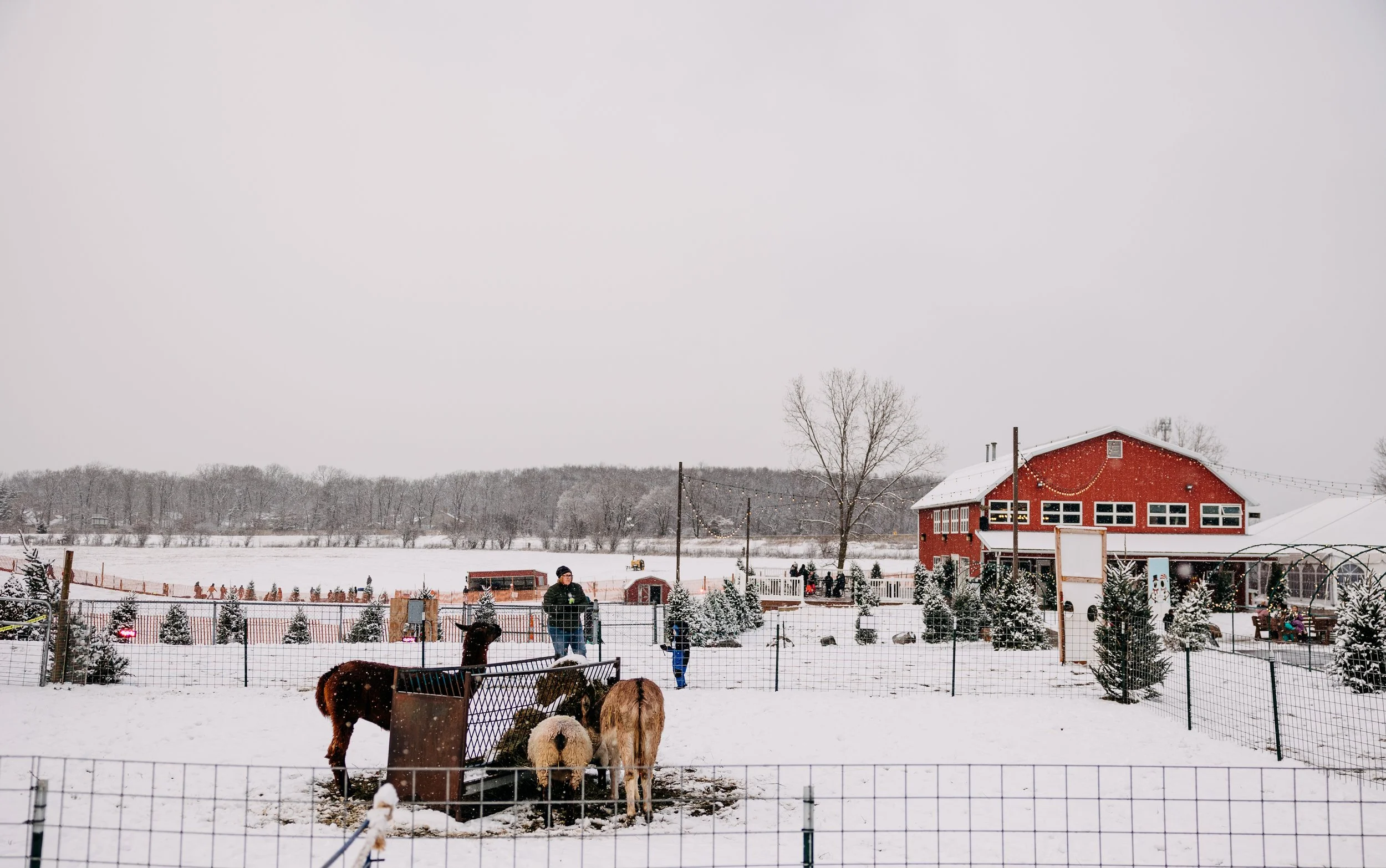 What To Do in the Winter — Bowers Farm