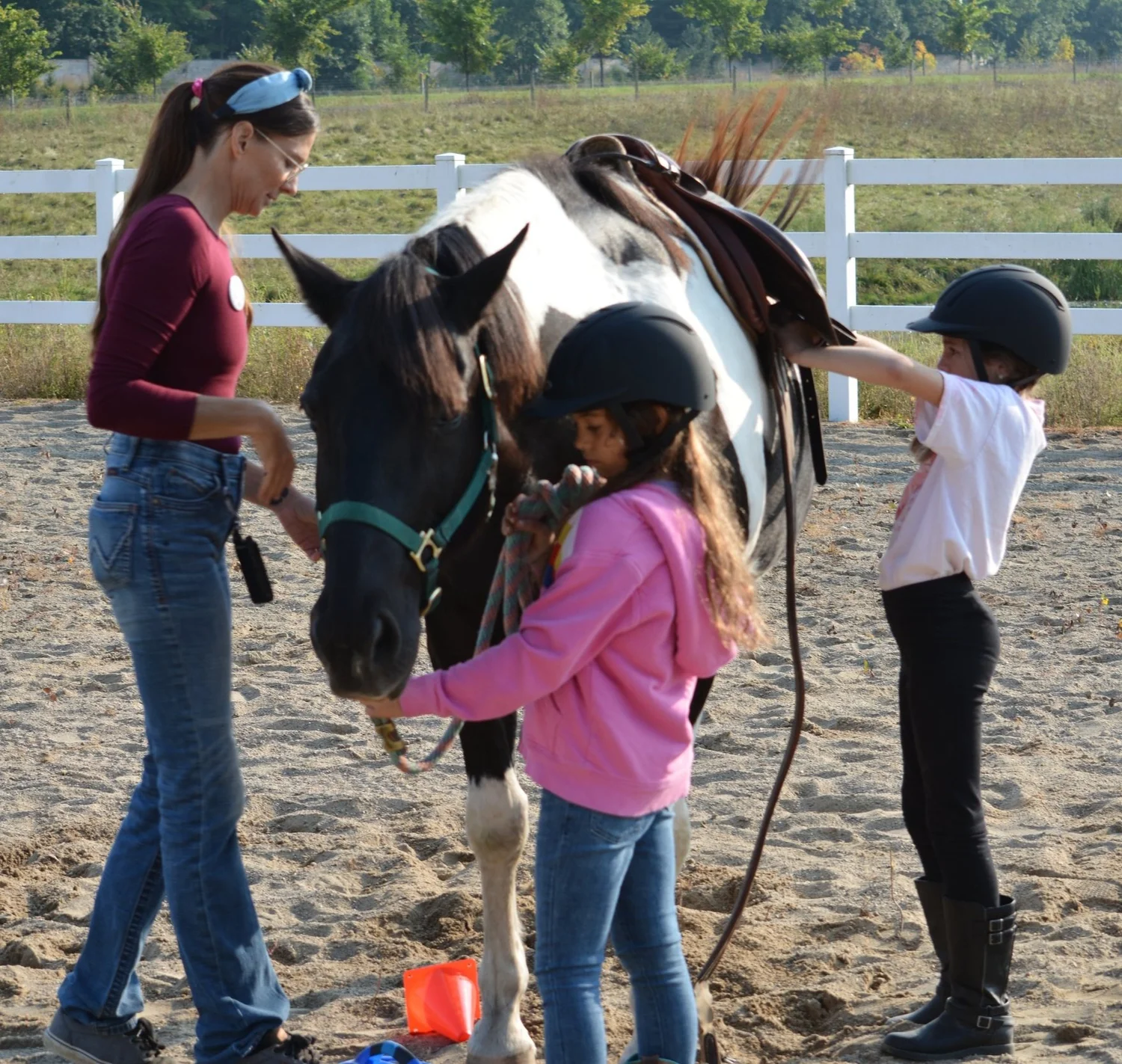 Equine Programs — Bowers Farm