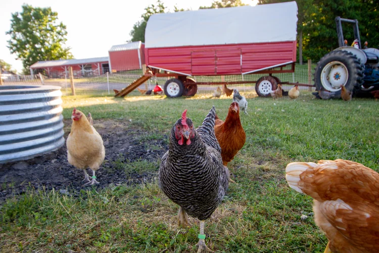 About — Bowers Farm
