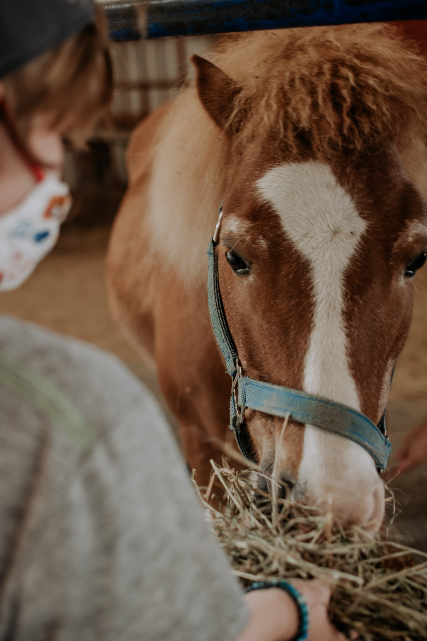 Open Visit — Bowers Farm