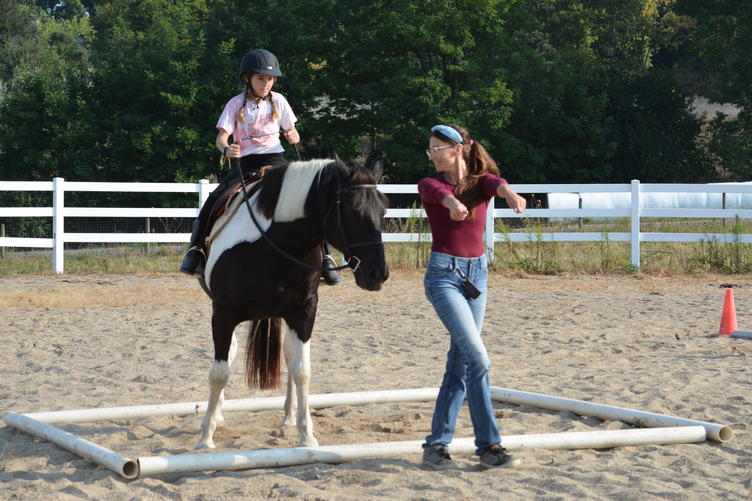 Equine Programs — Bowers Farm