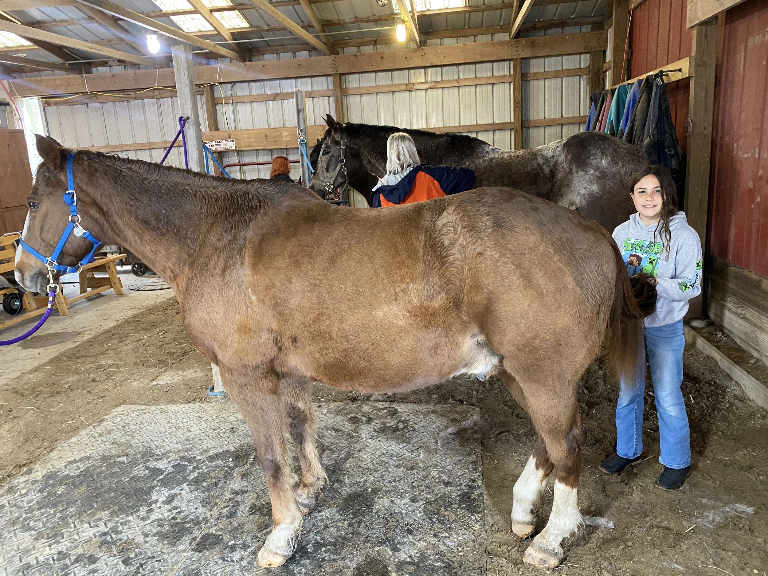 Saddling Up for a New Season at Bowers Riding School! 🐴🌞 — Bowers Farm