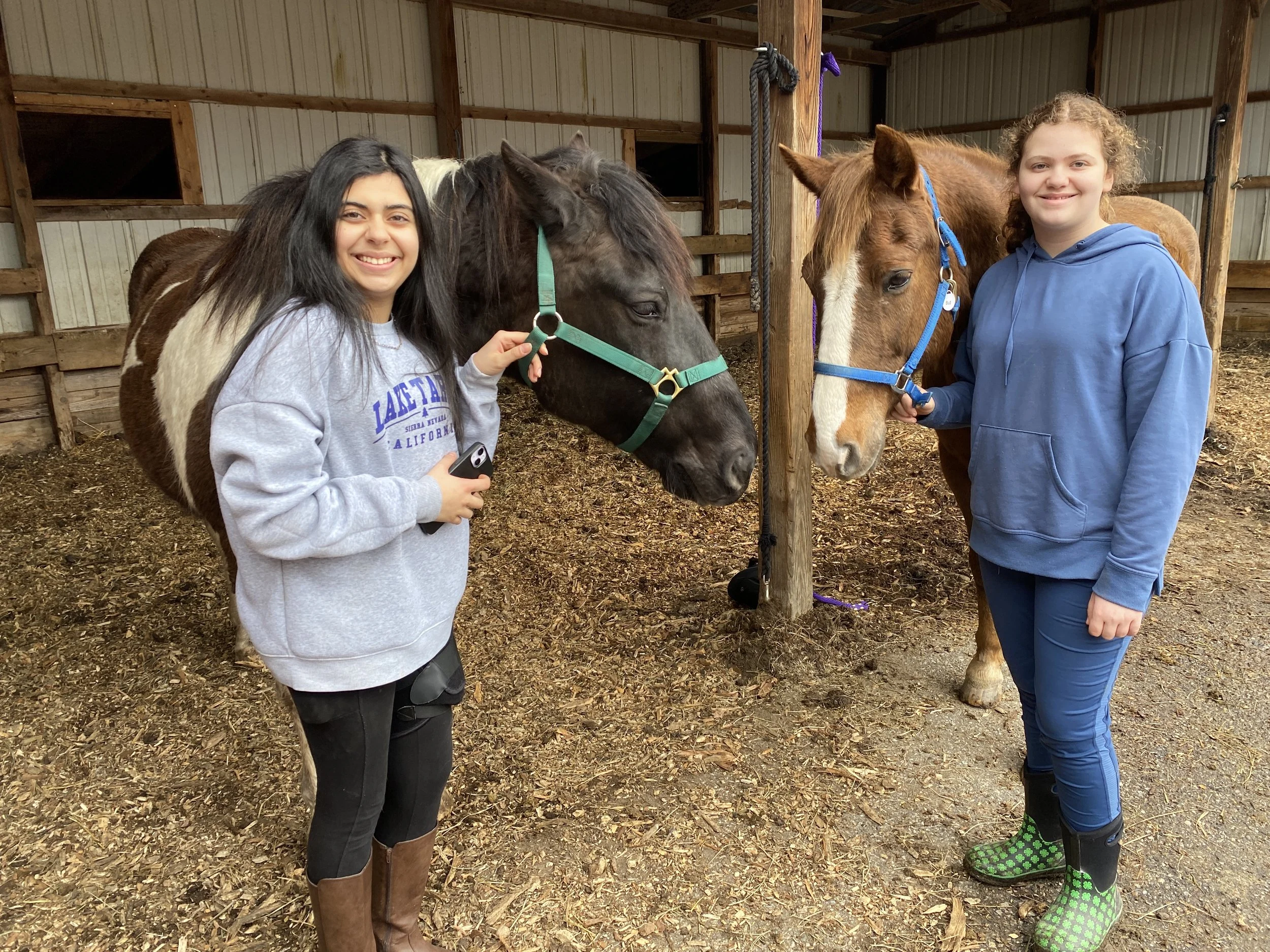 Saddling Up for a New Season at Bowers Riding School! 🐴🌞 — Bowers Farm