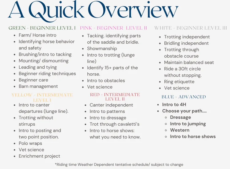 Equine Programs — Bowers Farm
