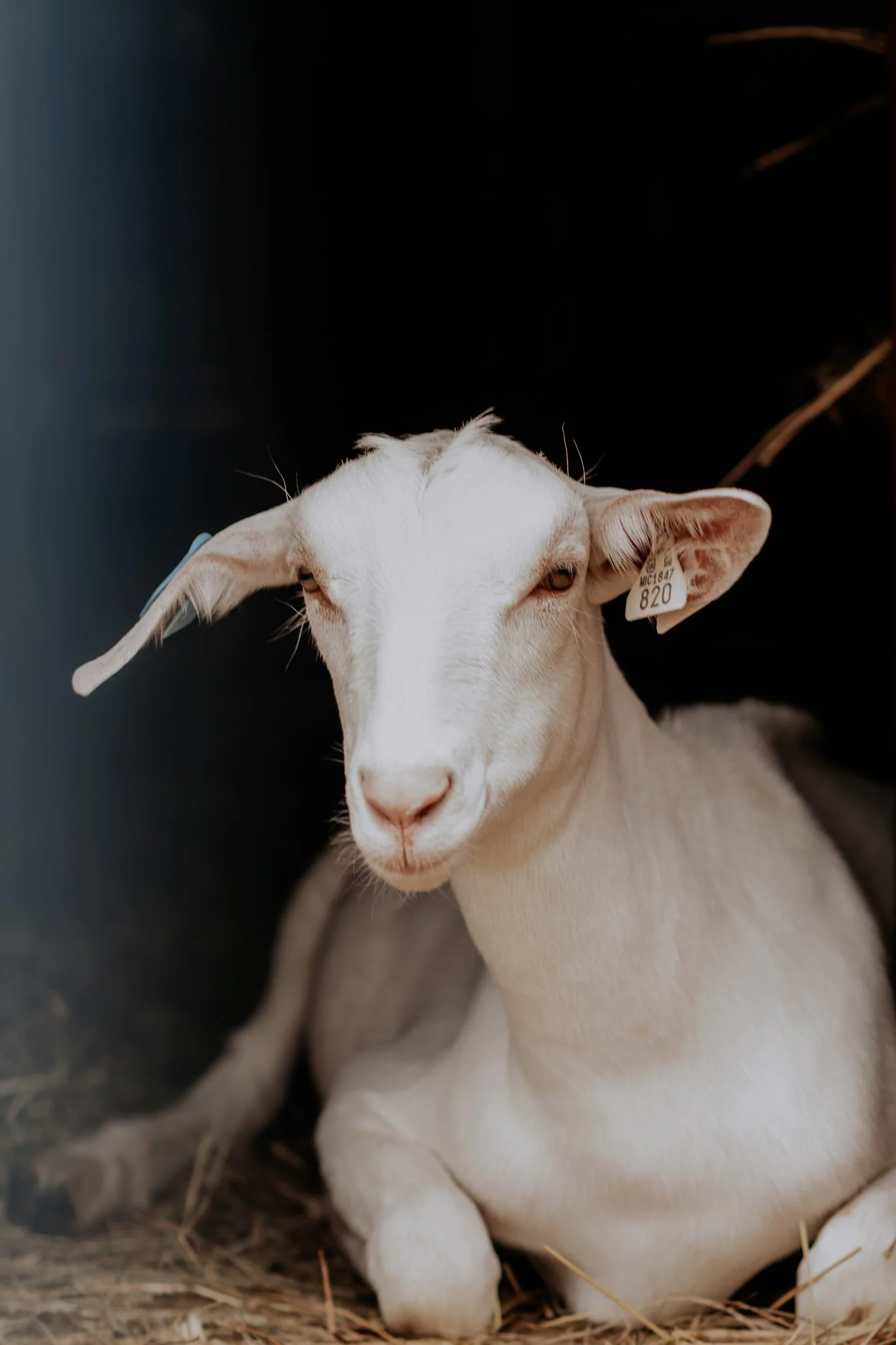 Open Visit — Bowers Farm
