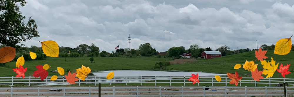 Fall Events — Bowers Farm