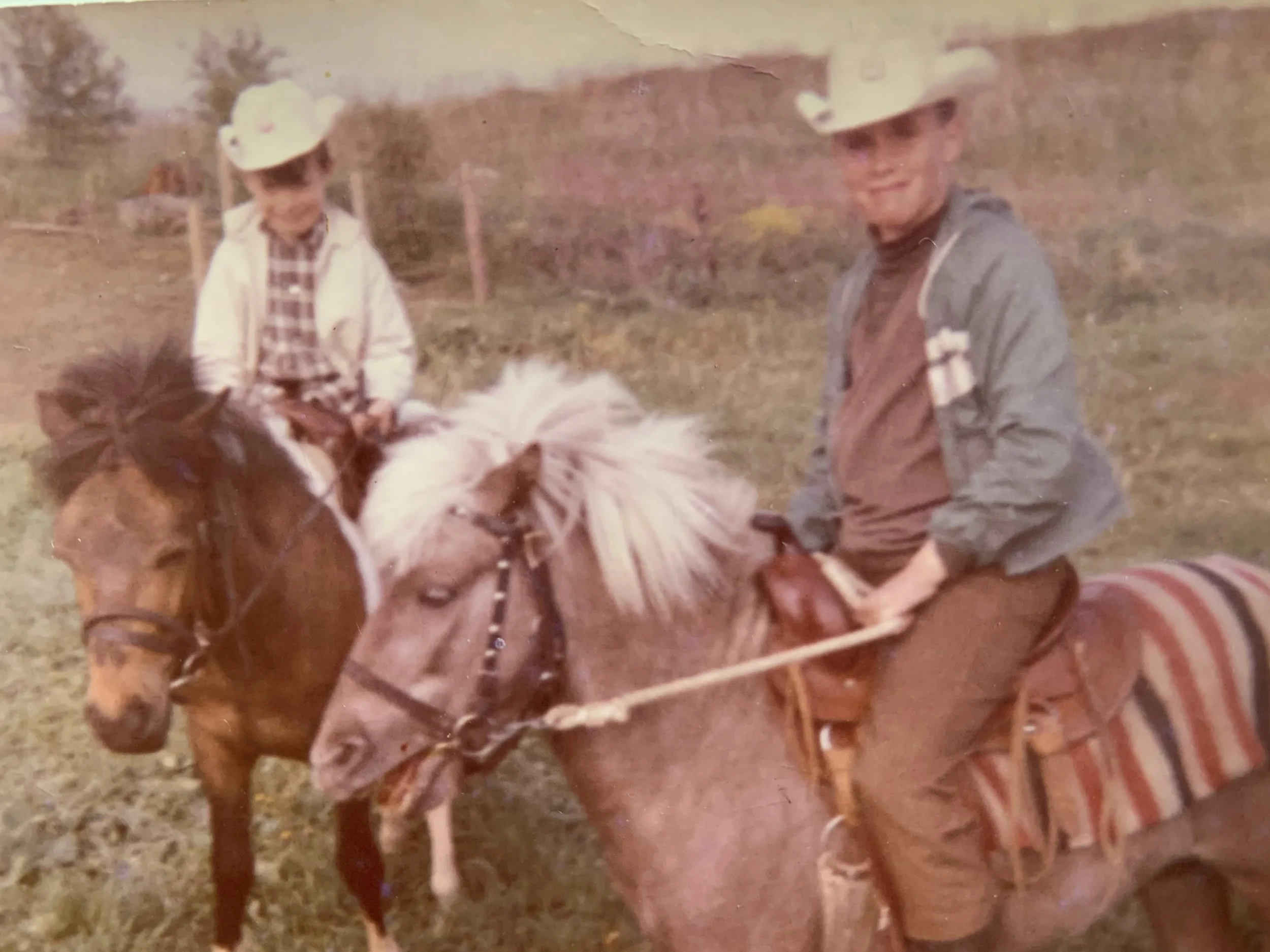 History of Bowers Farm — Bowers Farm