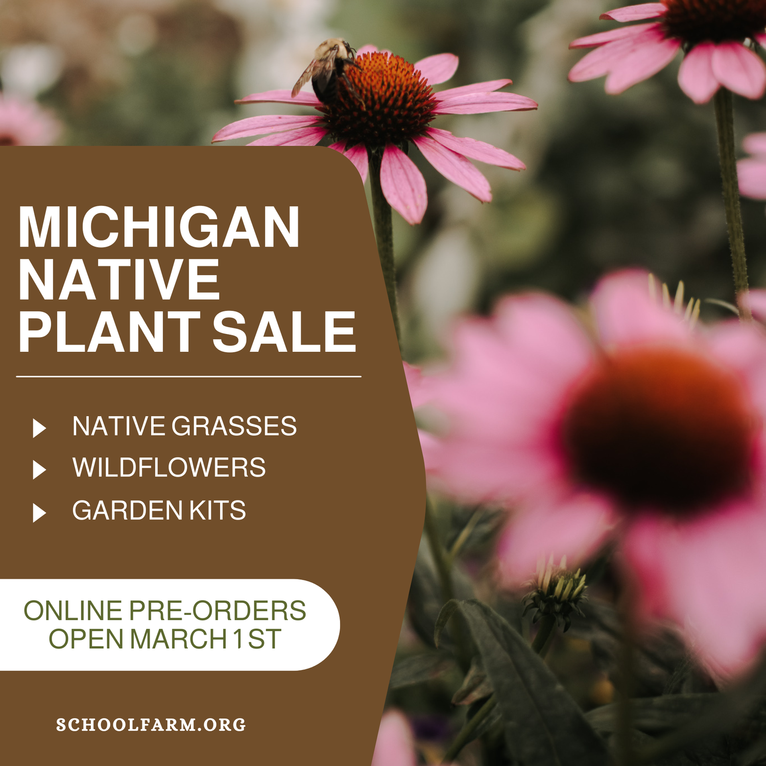 Registration begins for Native Plant Sales — Bowers Farm