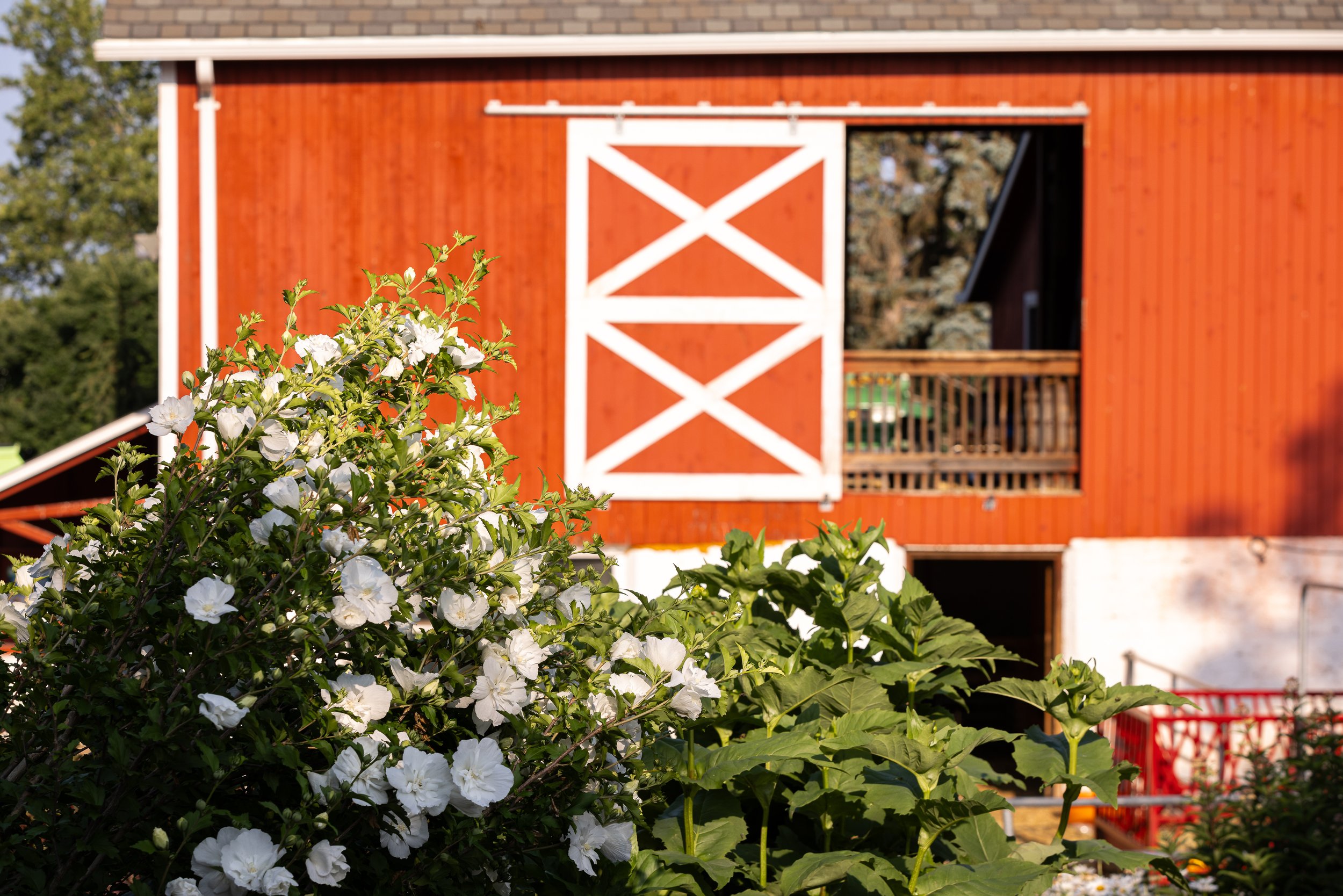 Camps — Bowers Farm