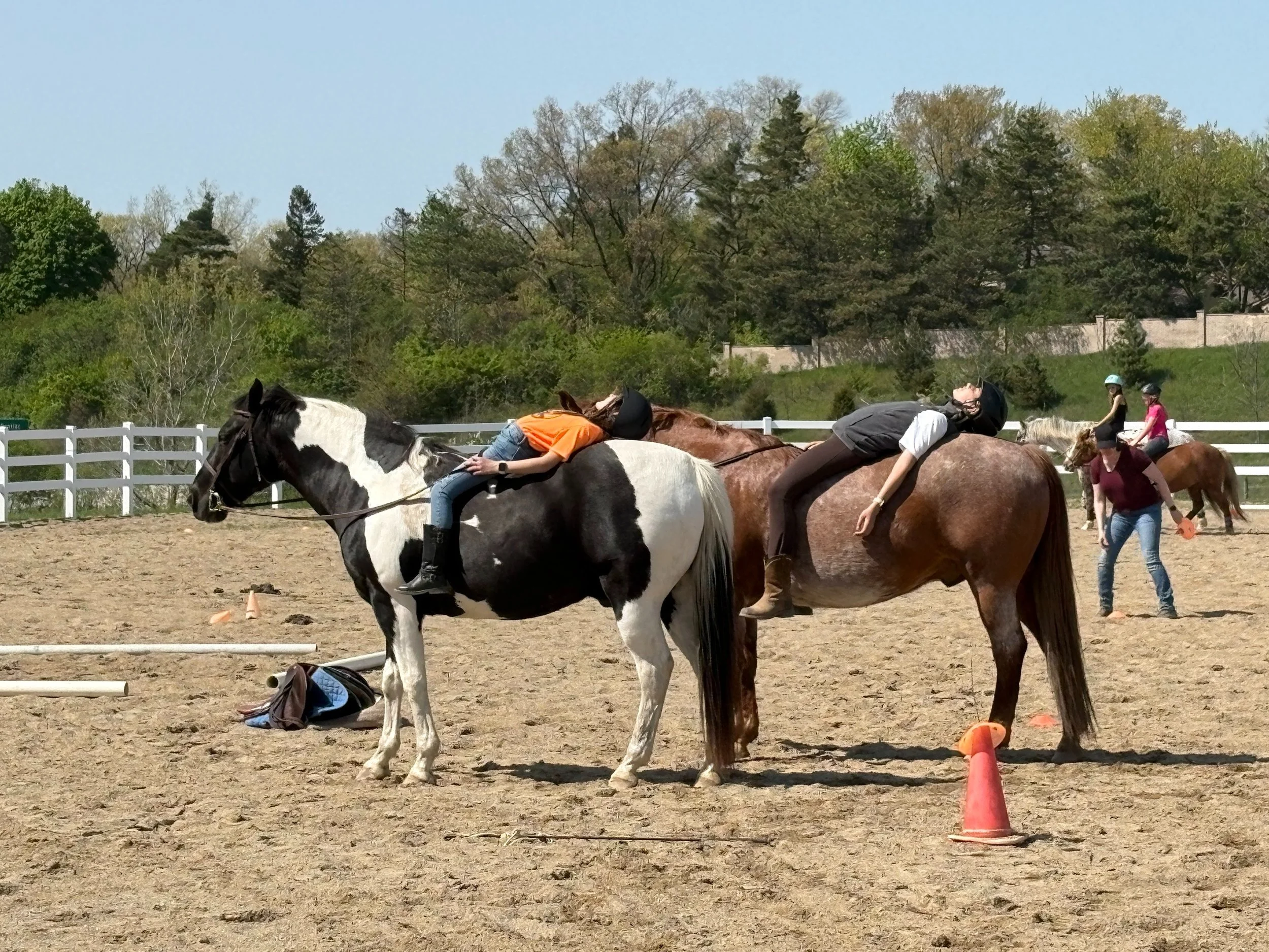 Learn at the Farm — Bowers Farm