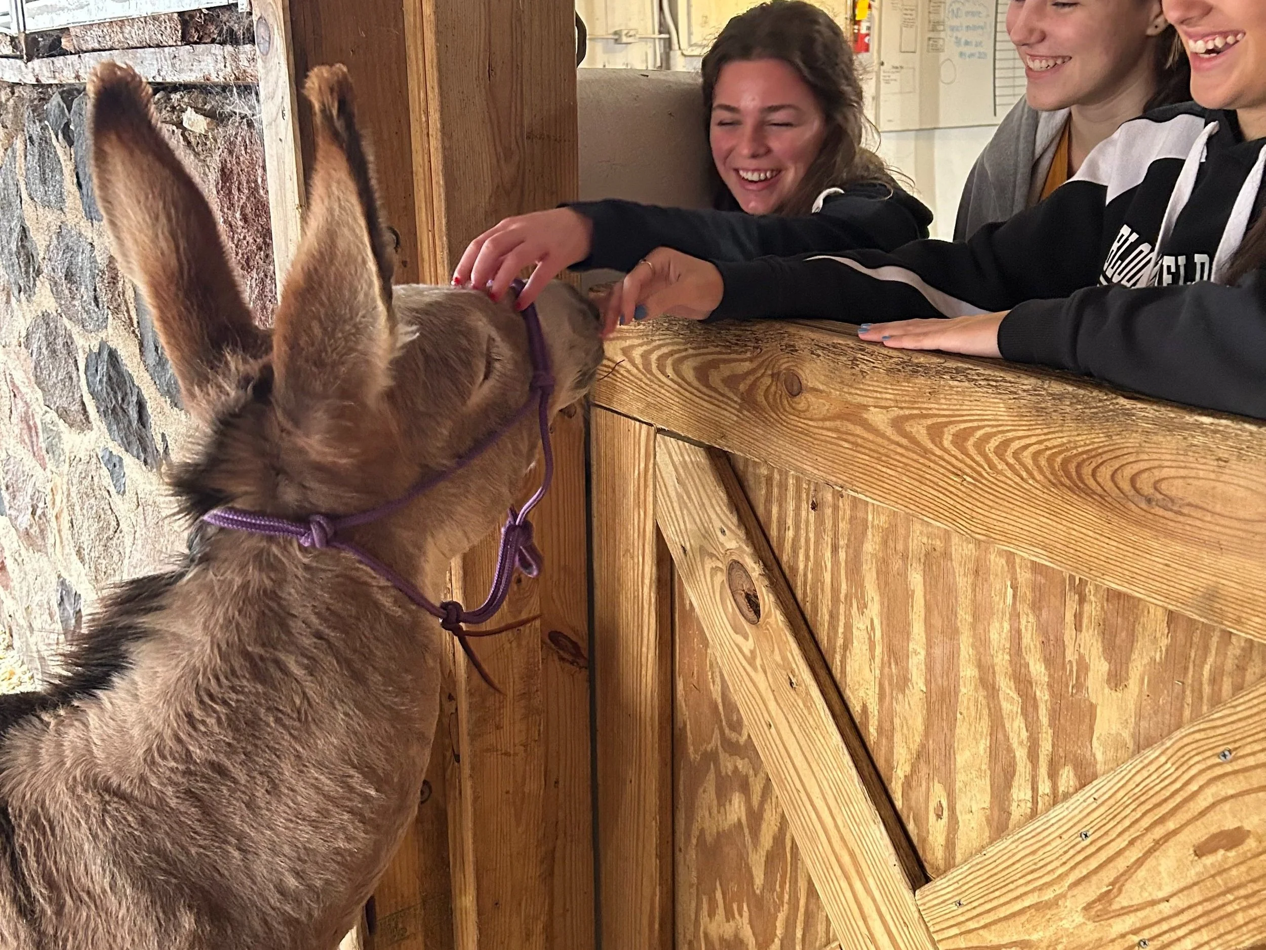 What To Do In the Spring — Bowers Farm