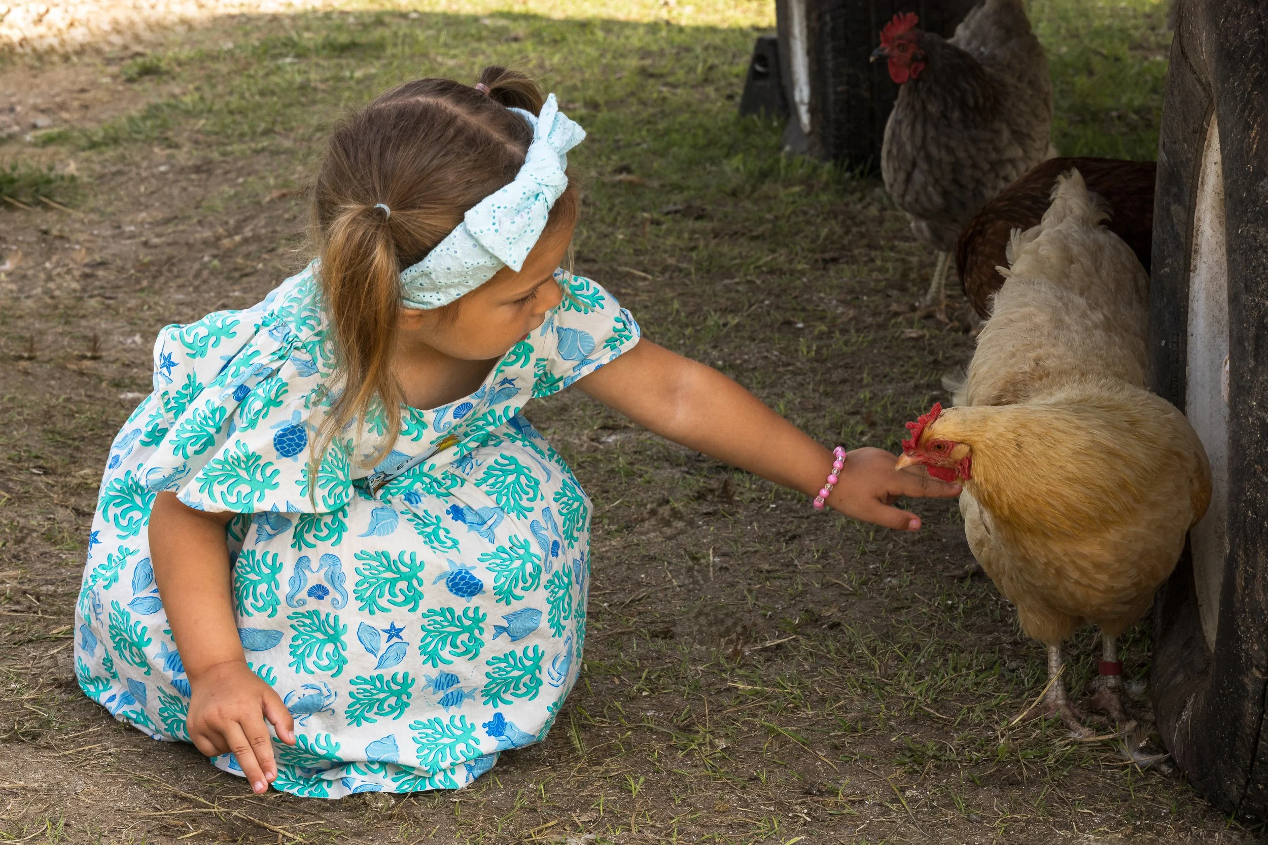 Open Visit — Bowers Farm