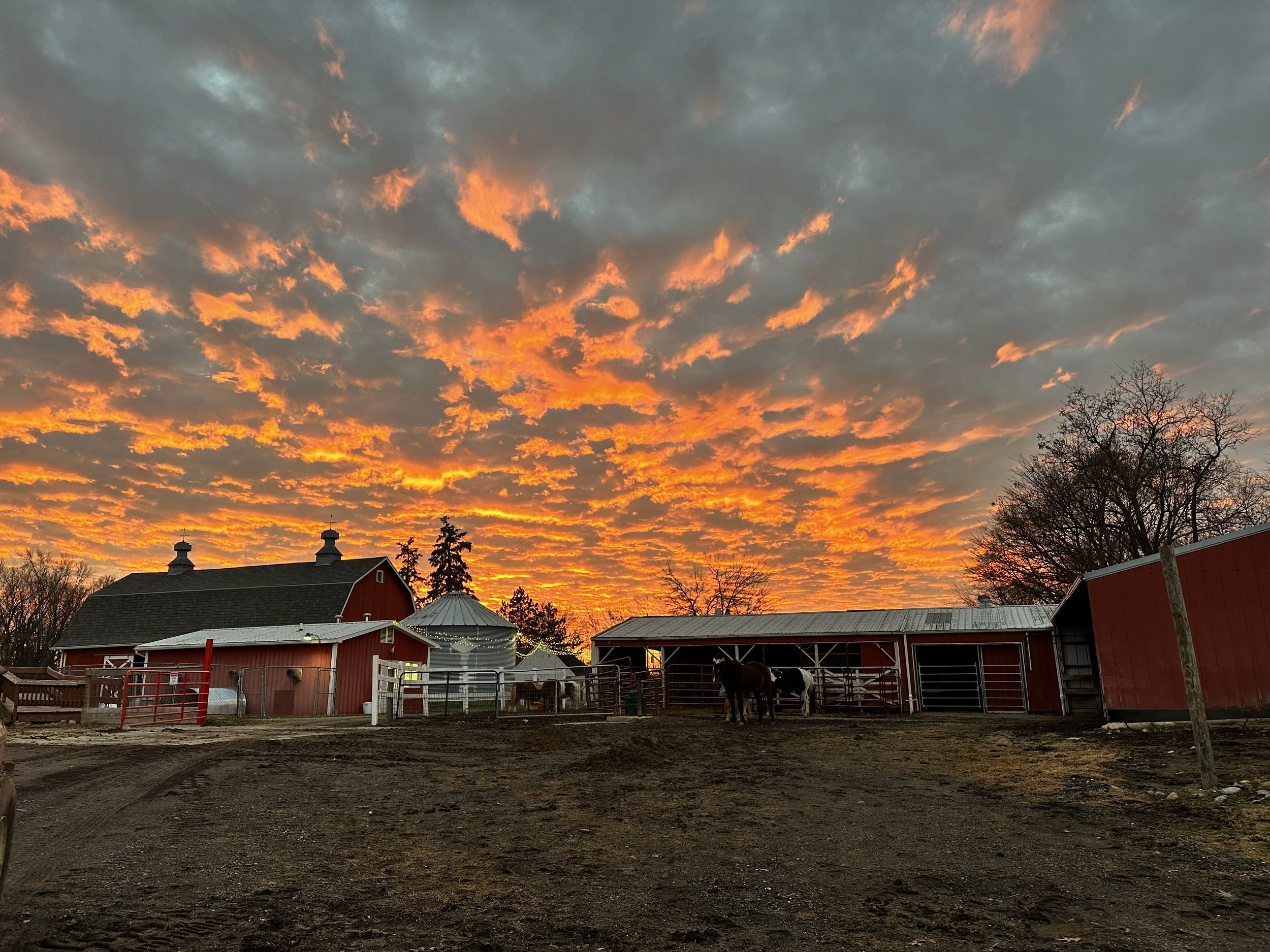 Fall Festival 2025 — Bowers Farm