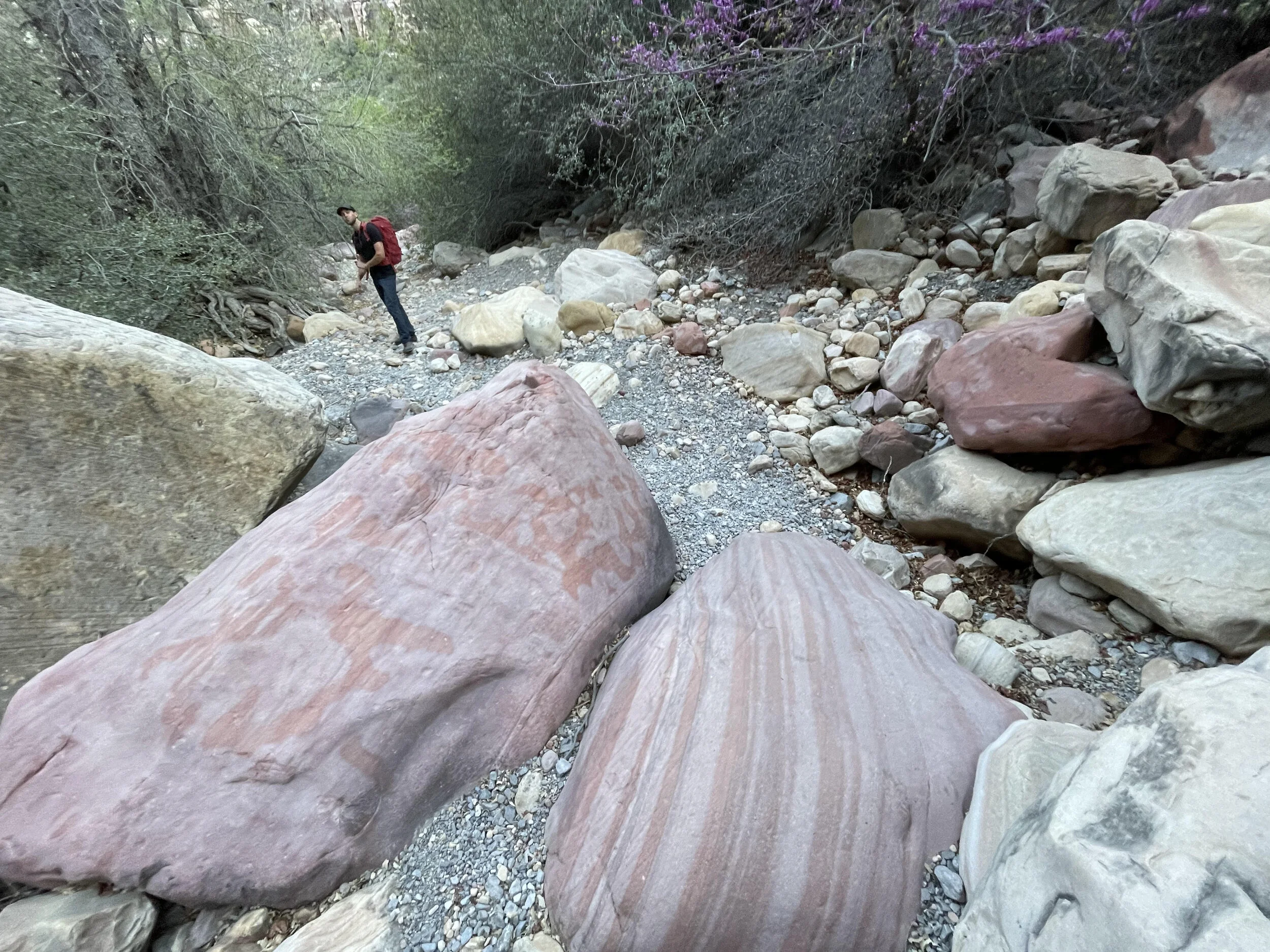 red rock canyon - drifting — Project Direct Coaching