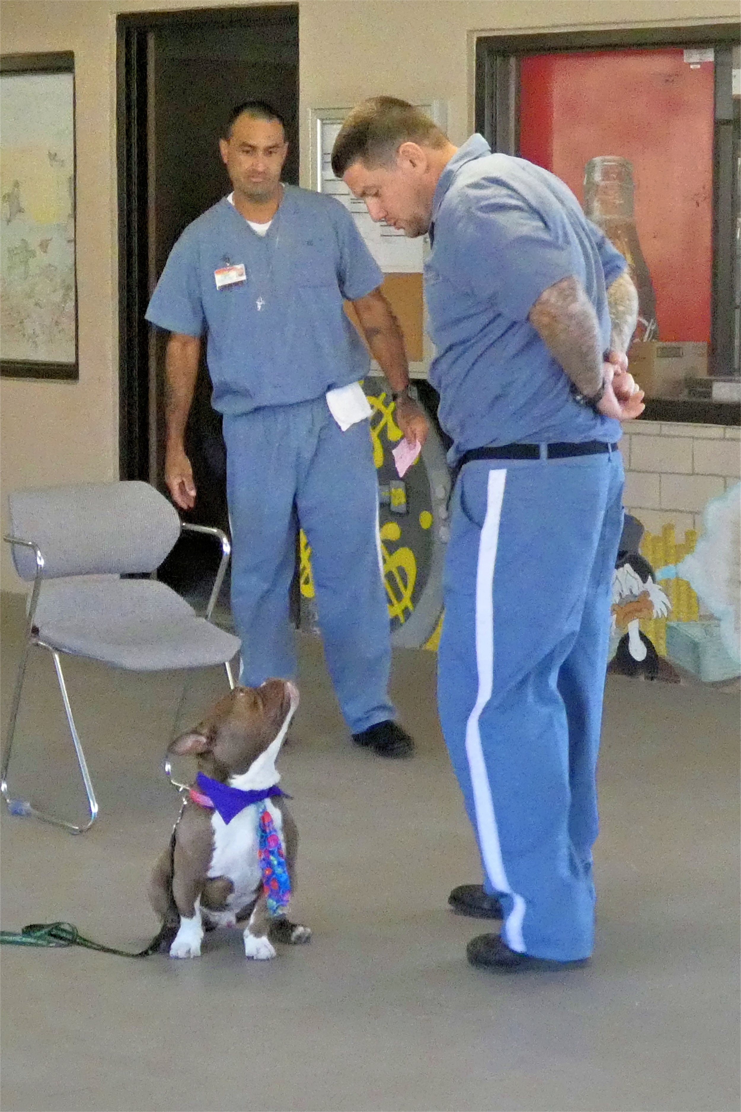 CFRC 2022 Nov. — Greyhound Advancement Center