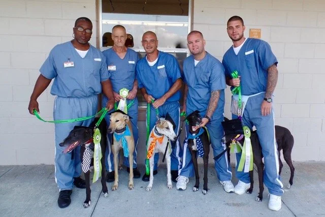 Greyhound Advancement Center