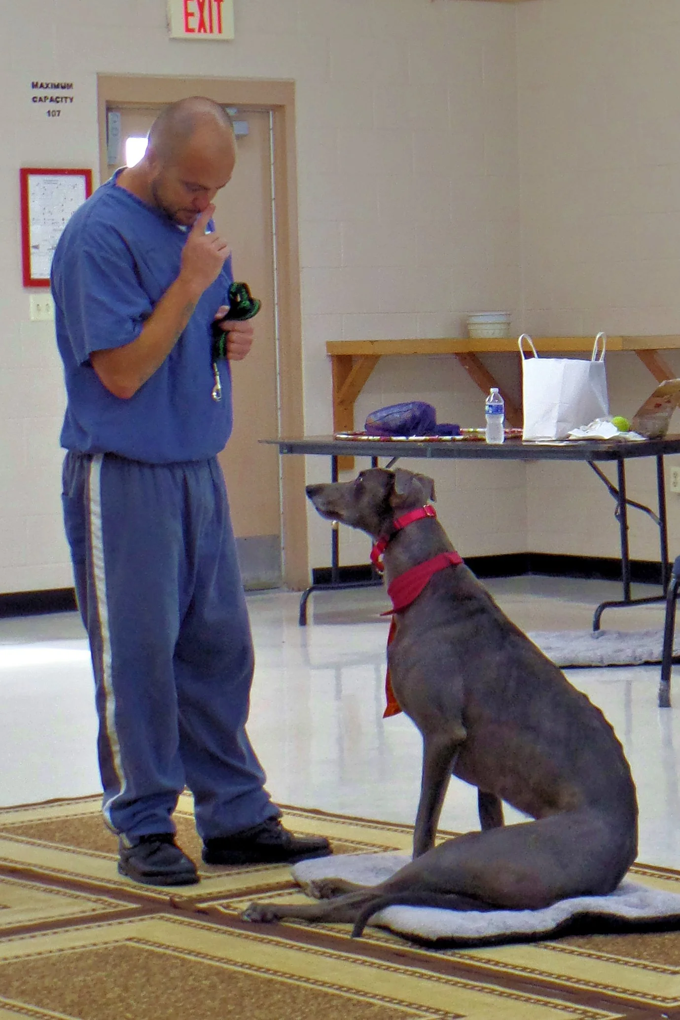 General 5 — Greyhound Advancement Center