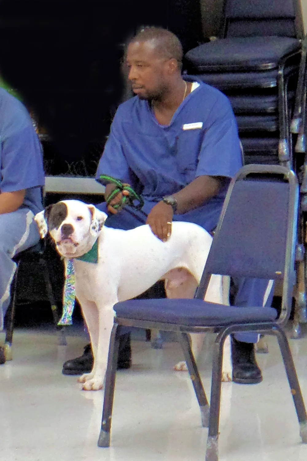 General 5 — Greyhound Advancement Center