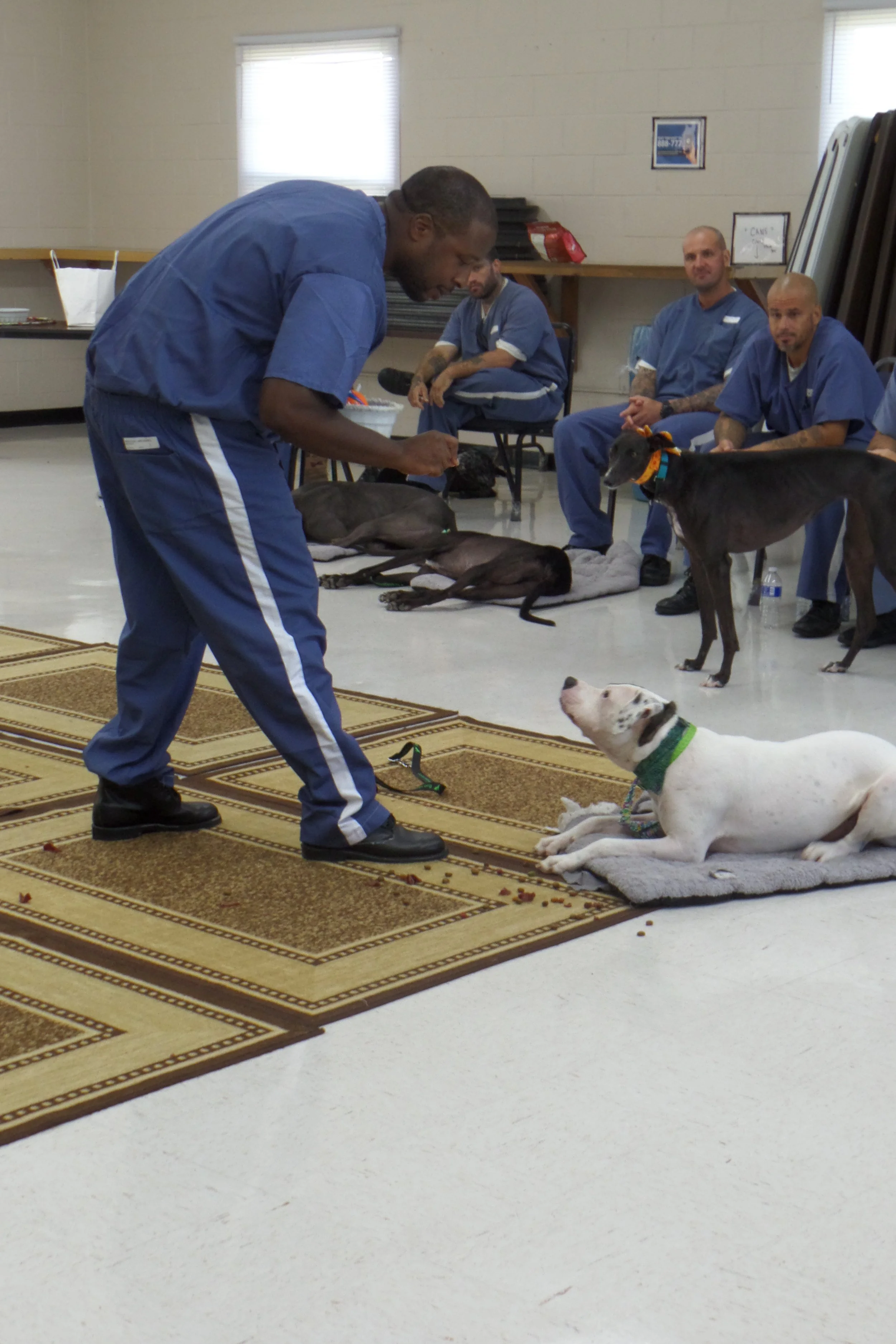 General 5 — Greyhound Advancement Center