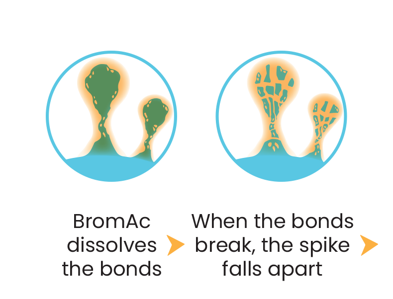 Respiratory — Mucpharm BromAc