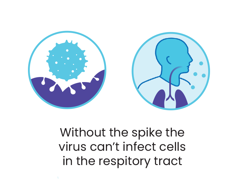 Respiratory — Mucpharm BromAc